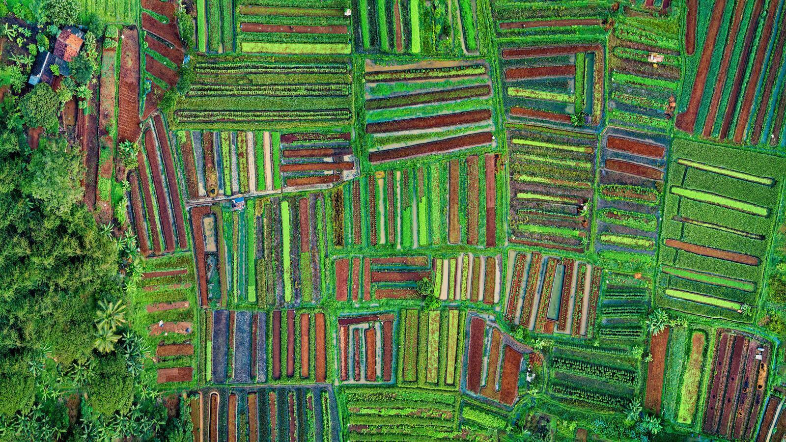 From Pathfinder Framework to PACT Methodology: A Step Towards Becoming the Global Standard for ...